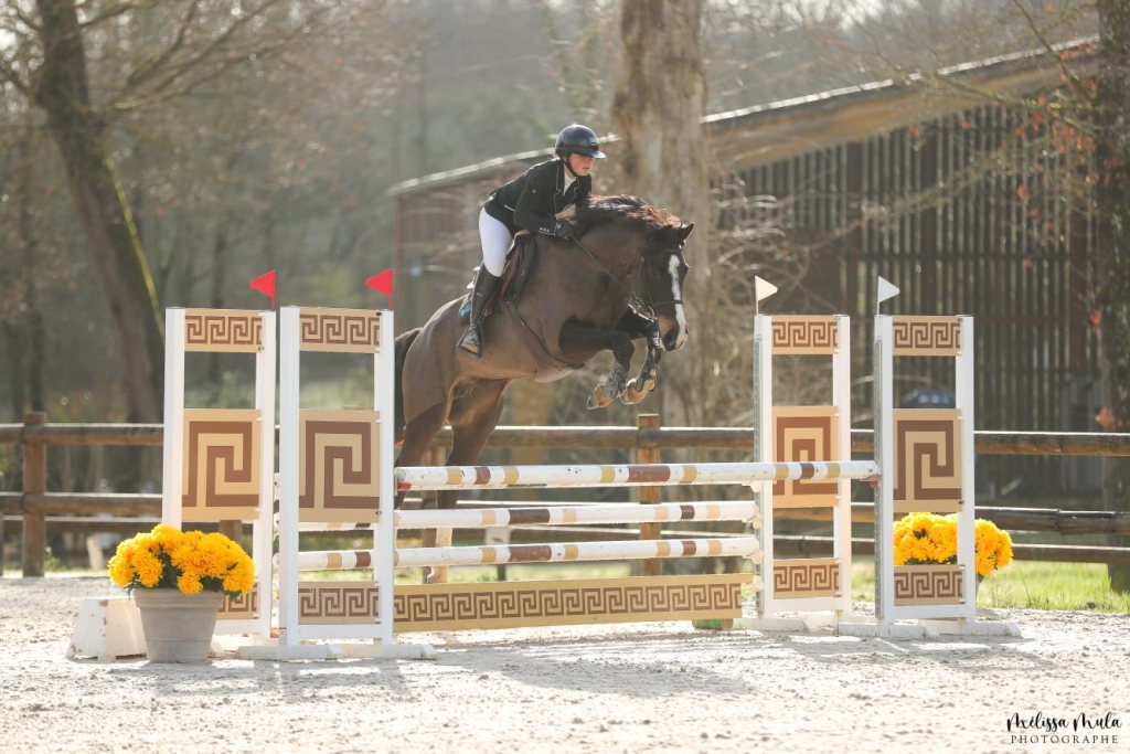 Inkime du Fleuve Jument SF Noir - Cheval à vendre - Élevage du fleuve